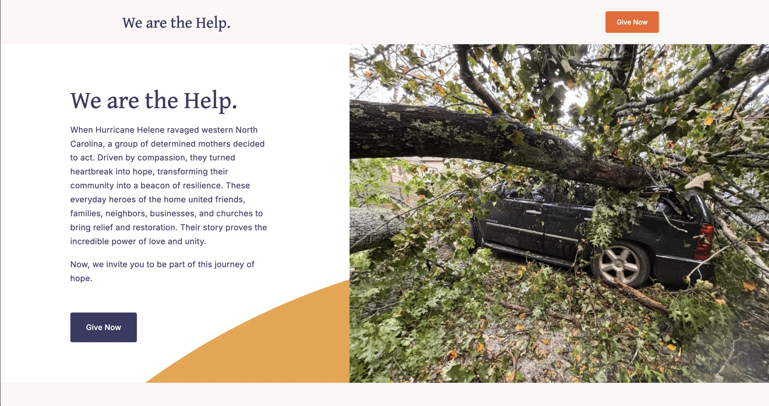 We Are The Help | 100% of Funds Directly Supporting Families in WNC